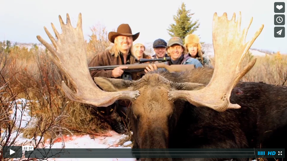 Video: Hunting Bull Moose in Alberta – Rack Camp