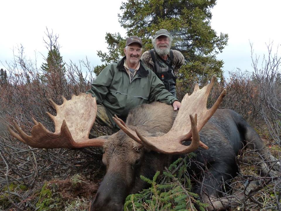 Hunting Photo: Big Bull Moose in British Columbia – Rack Camp