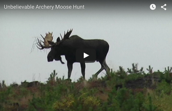 Video: Alberta Archery Moose Hunt – Rack Camp