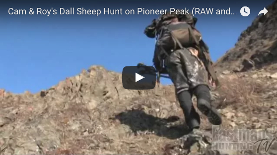 Video: Cameron Hanes and Roy Roth Bowhunting Dall Sheep in Alaska ...