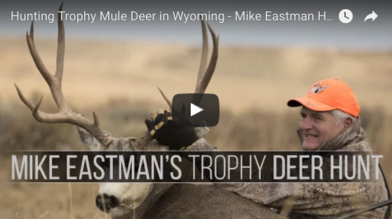 Video: Hunting Trophy Mule Deer in Wyoming – Rack Camp