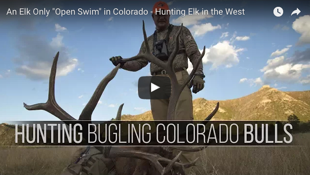 Video: Hunting Trophy Elk in Colorado – Rack Camp