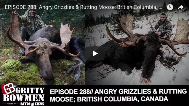 Video: Hunting Moose and Angry Grizzly Bears in British Columbia – Rack ...