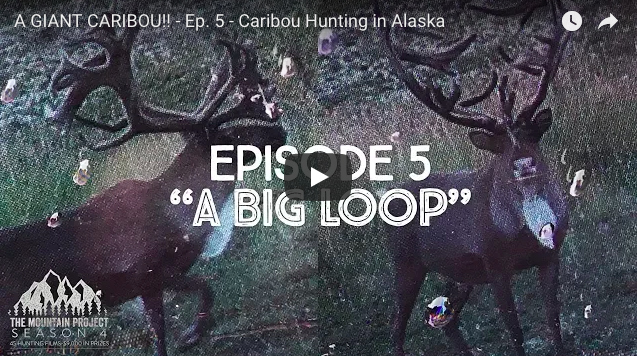 Video: Hunting Giant Caribou in Alaska – Rack Camp