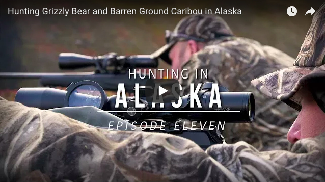 Video: Hunting Caribou and Grizzly Bear in Alaska – Rack Camp