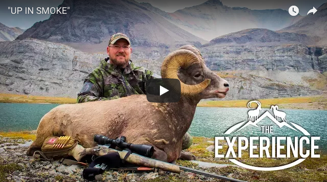 Video: Hunting Bighorn Sheep in Alberta – Rack Camp
