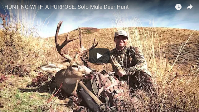 Video: Hunting High Country Mule Deer – Rack Camp