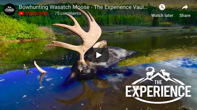 Video: Bowhunting Wasatch Moose – Rack Camp