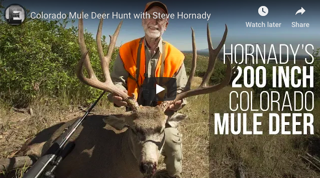 Video: Hunting Giant Colorado Mule Deer – Rack Camp