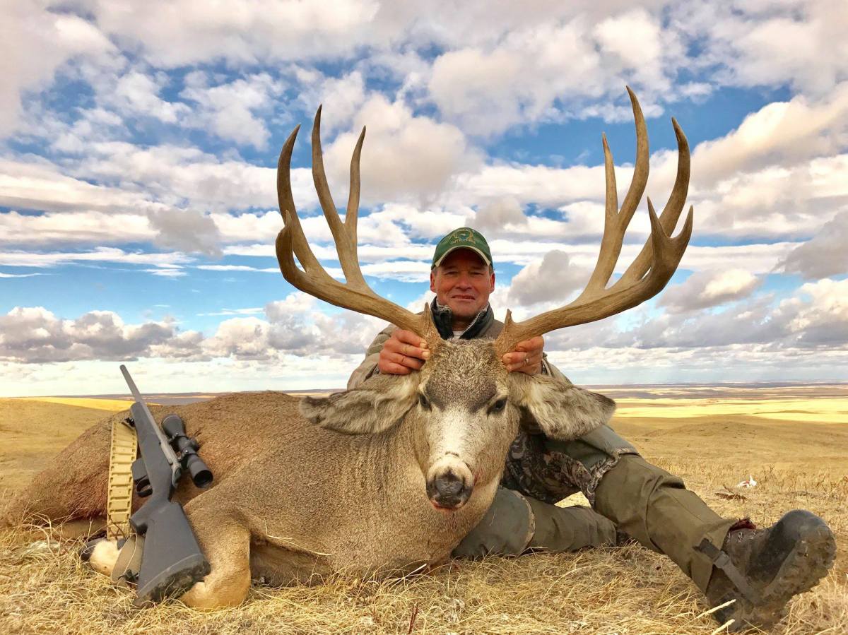 Photo: Beautiful Western Mule Deer – Rack Camp