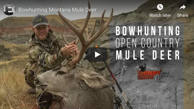 Video: Bowhunting Mule Deer in Montana – Rack Camp