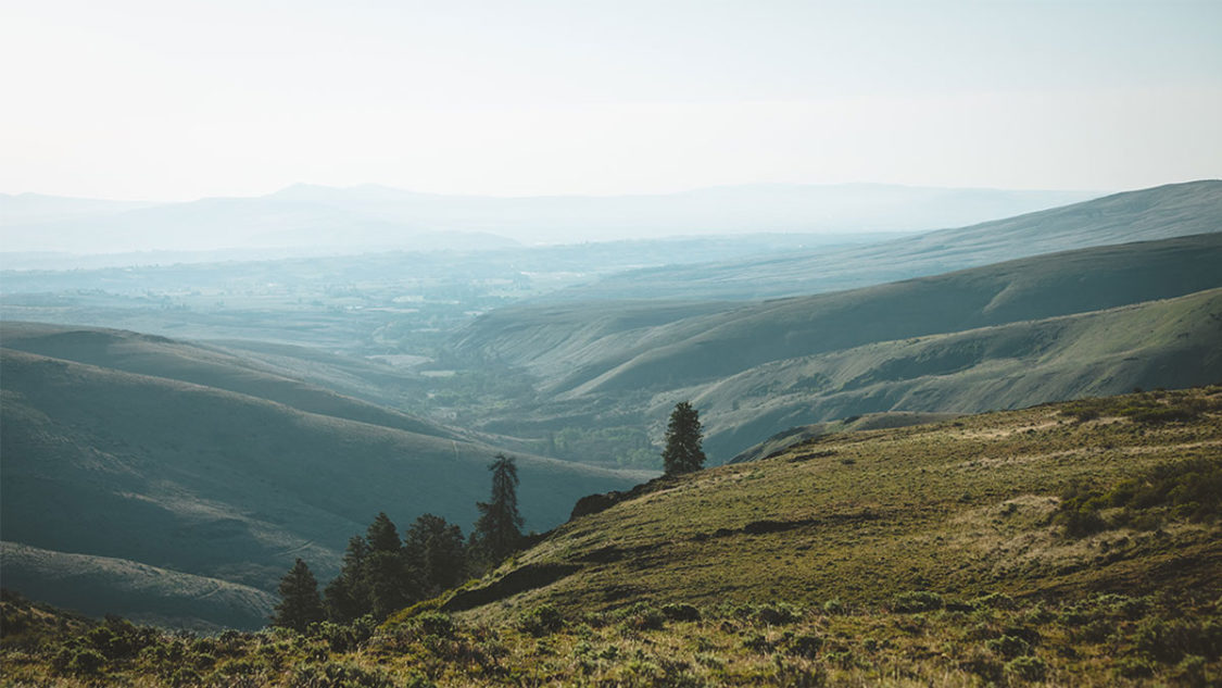 4,486 Acres of Wildlife, Riparian Habitat Permanently Protected, Opened ...