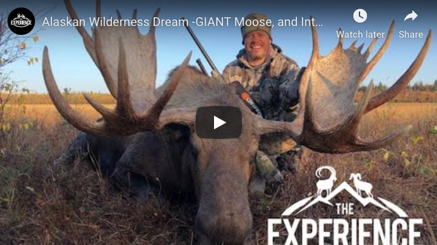 Video: Hunting Moose and Grizzly Bear in Alaska – Rack Camp