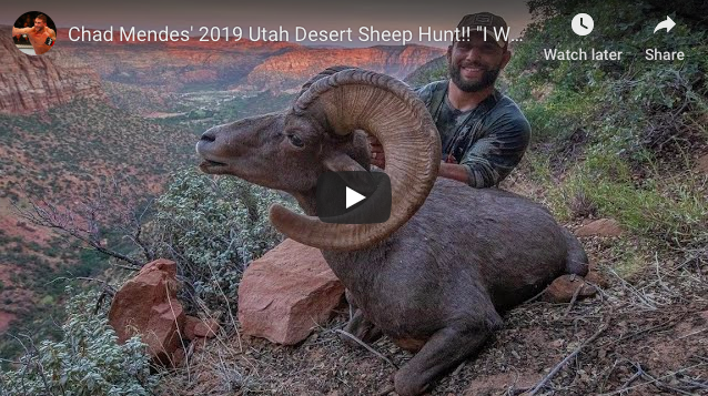 Video: Utah Desert Sheep Hunt – Rack Camp