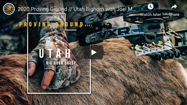 Video: Bowhunting Bighorn Sheep in Utah – Rack Camp