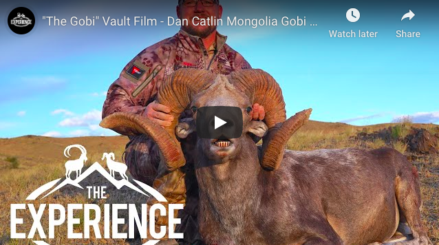 Video: Hunting Gobi Argali in Mongolia – Rack Camp