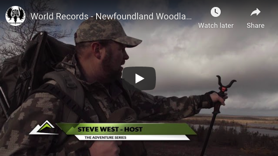 Video: Hunting World Record Woodland Caribou in Newfoundland – Rack Camp