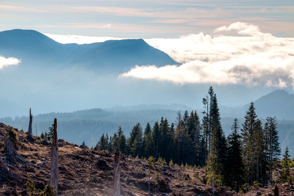 5,600-Acre Land Protection, Public Access Project Completed in ...