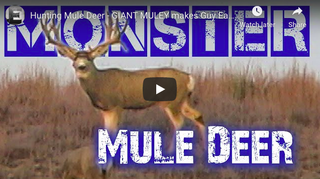 Video: Muzzleloader Hunting Monster Mule Deer – Rack Camp