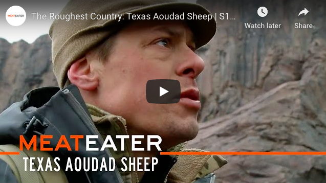 Show: MeatEater Season 1, Episode 8: Hunting Texas Aoudad Sheep – Rack Camp