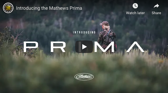 Introducing the Mathews Prima – Rack Camp