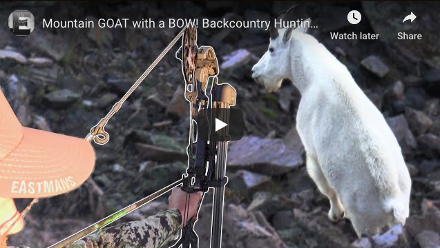 Video: Backcountry Bowhunting for Mountain Goat – Rack Camp