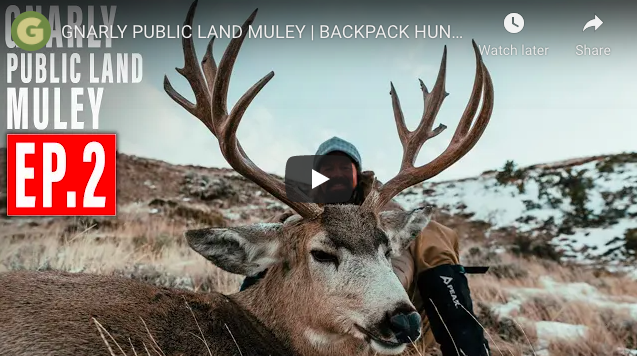 Video: Hunting a Gnarly Public Land Mule Deer – Rack Camp