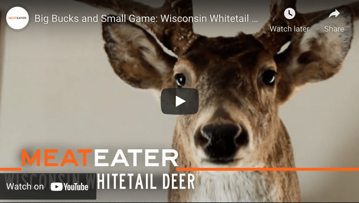 Show: MeatEater Season 1, Episode 10: Hunting Wisconsin Whitetail Deer ...