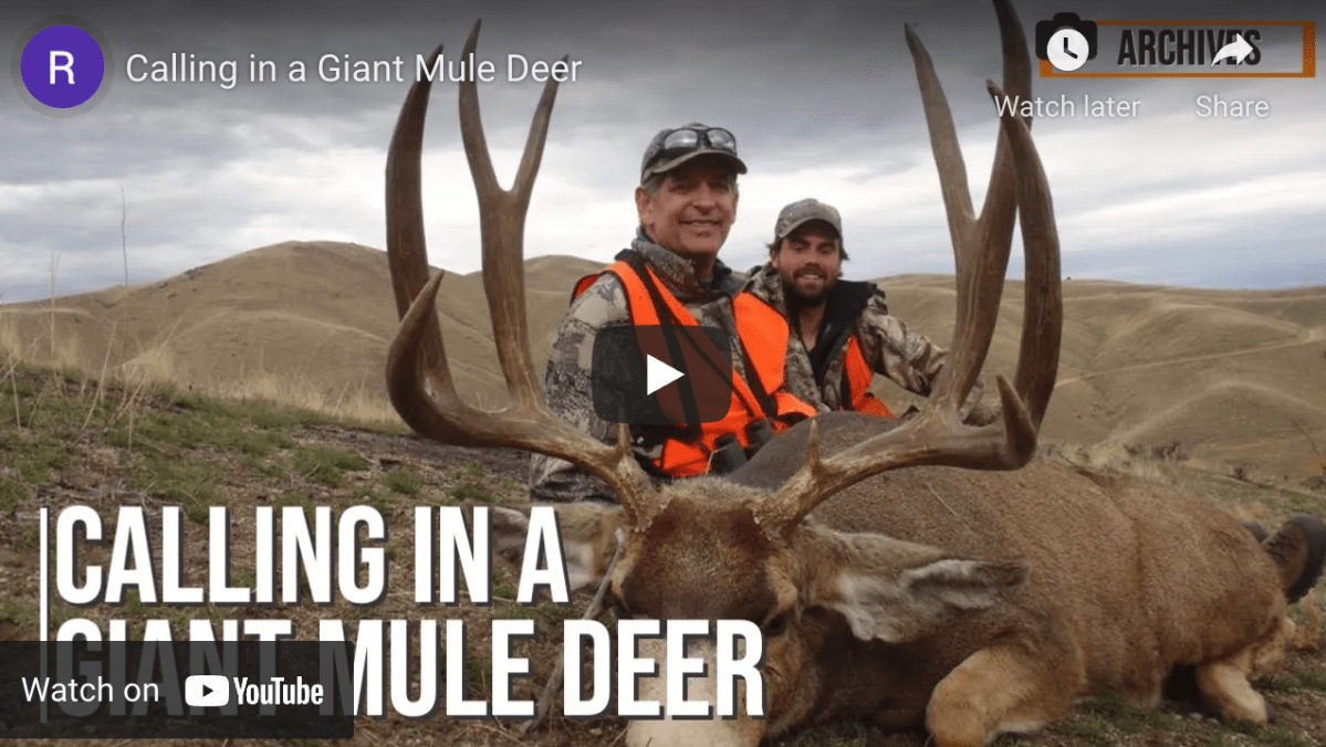 Video: Calling in a Giant Mule Deer – Rack Camp