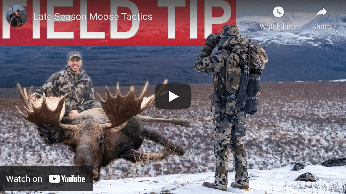Video: Late-Season Moose Tactics – Rack Camp