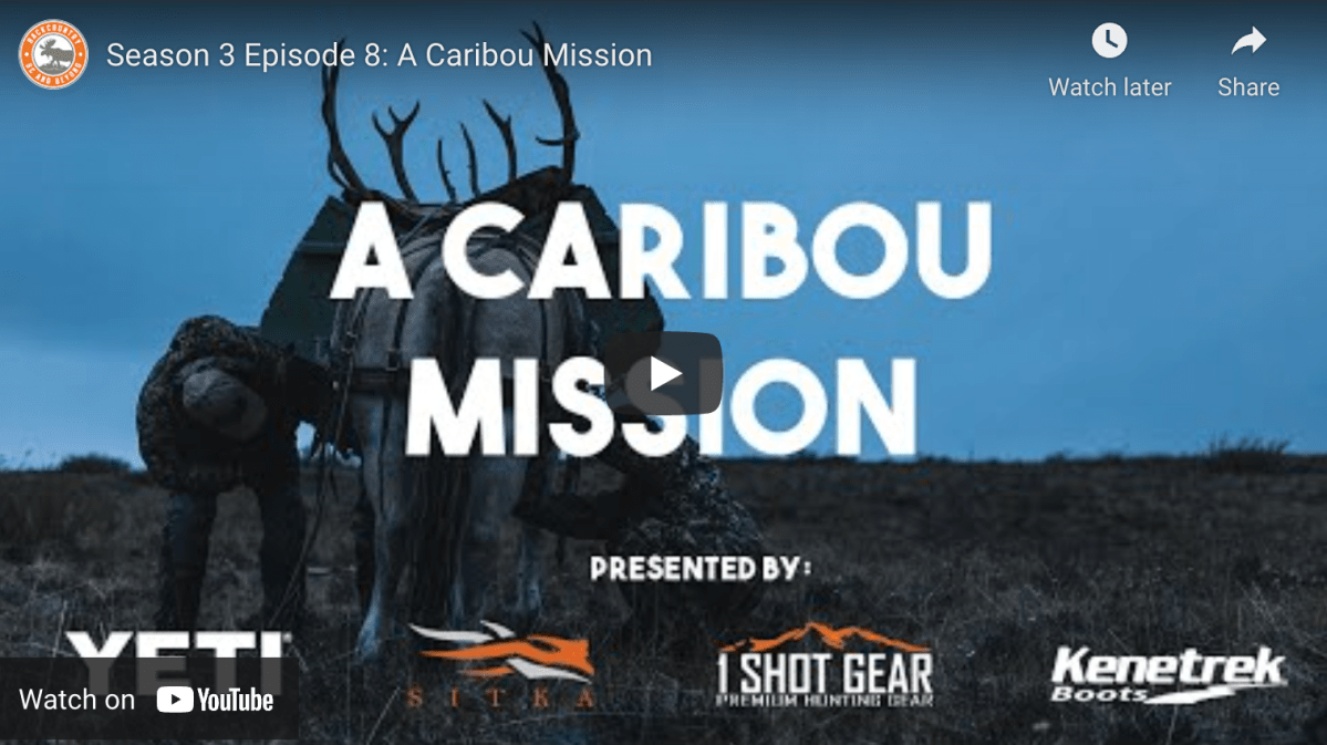 Video: Hunting Mountain Caribou – Rack Camp