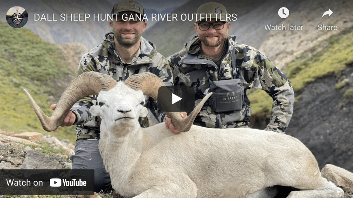 Video: Hunting Dall Sheep in the Northwest Territories – Rack Camp