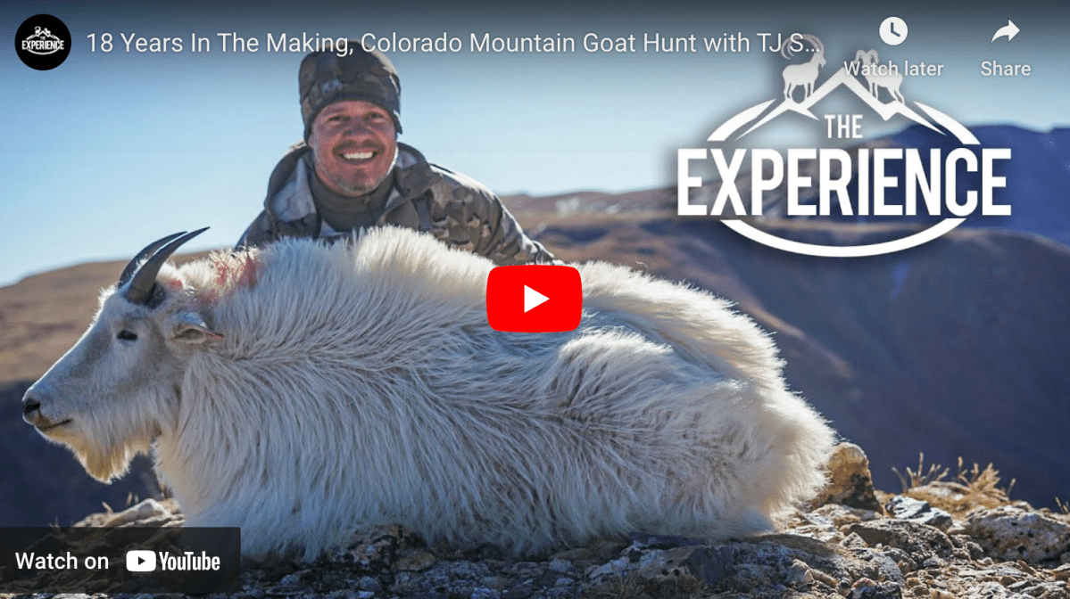 Video: Hunting Mountain Goat in Colorado – Rack Camp