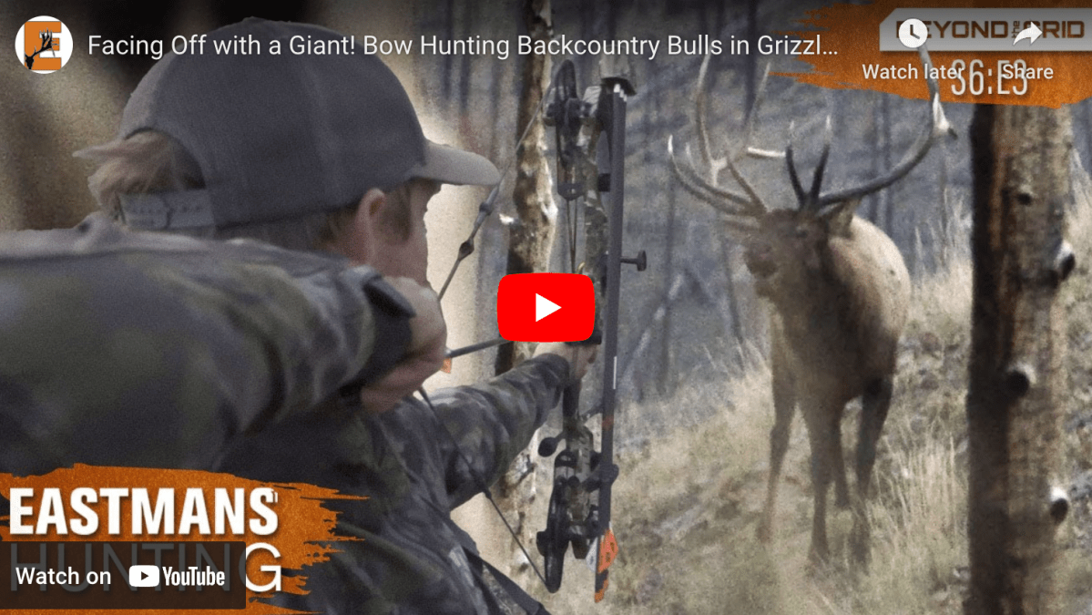 Video: Hunting Backcountry Bull Elk in Grizzly Country – Rack Camp