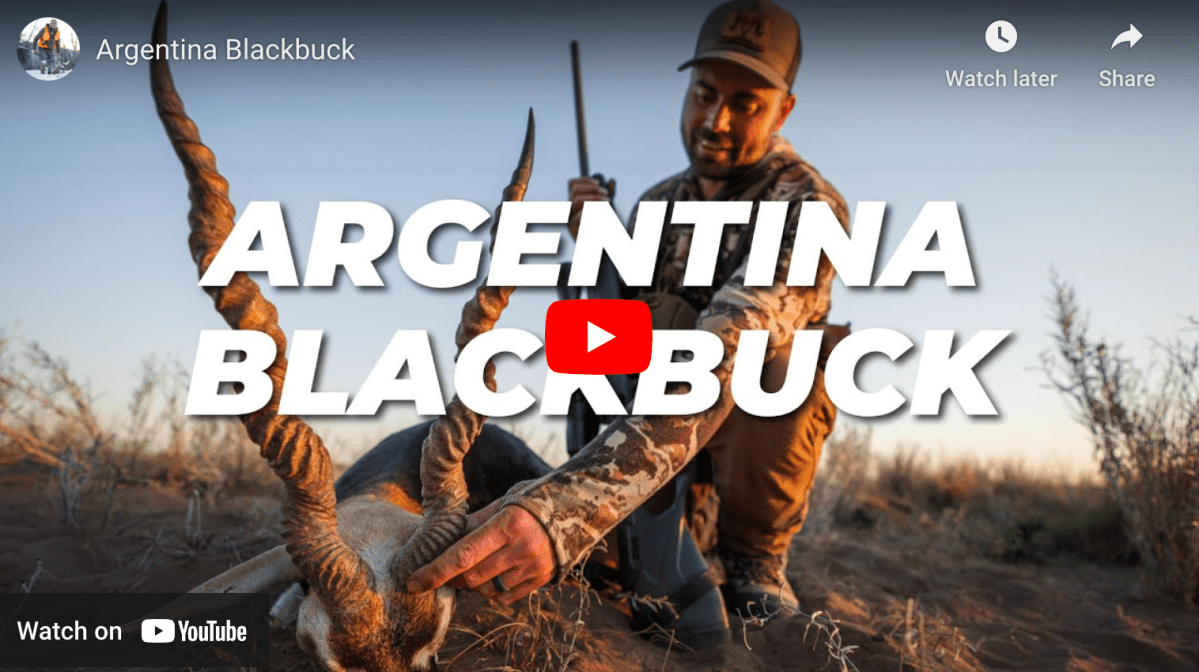 Video: Hunting Blackbuck in Argentina – Rack Camp