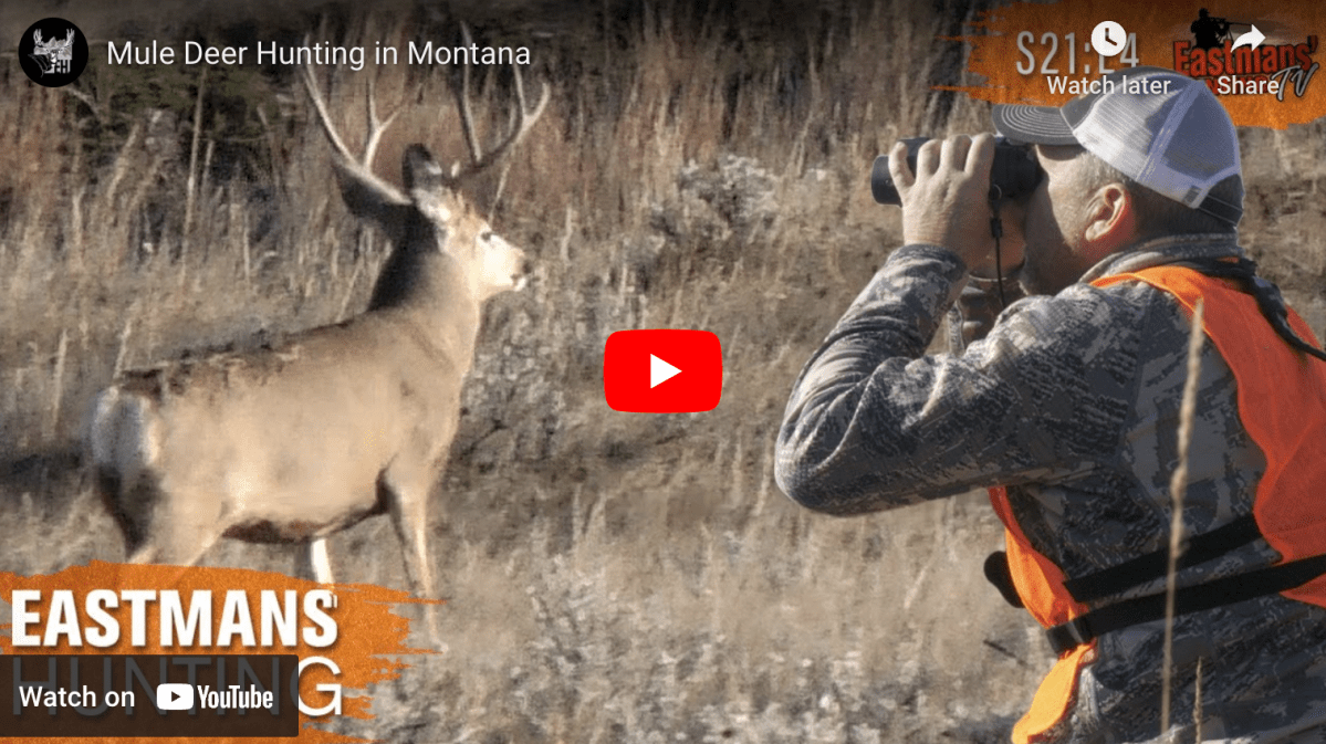 Video: Mule Deer Hunting in Montana – Rack Camp