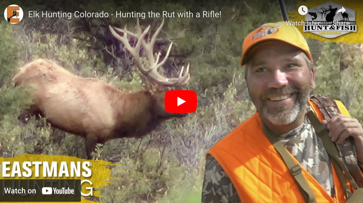Video: Elk Hunting in Colorado – Rack Camp