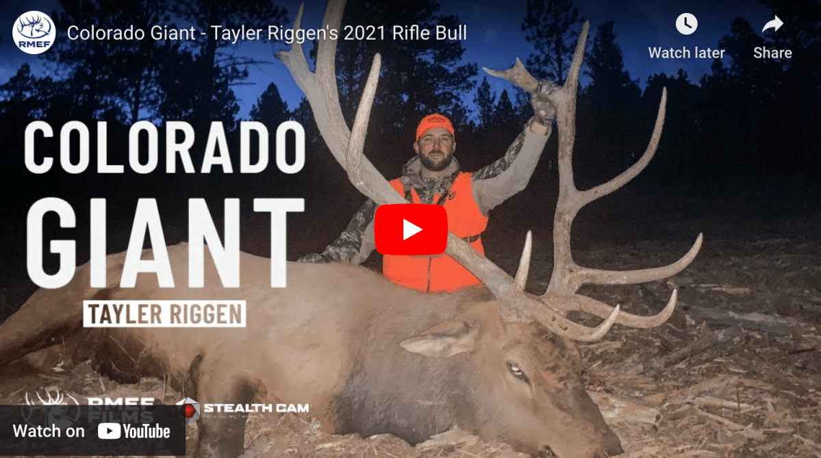 Video: Hunting Giant Bull Elk in Colorado – Rack Camp