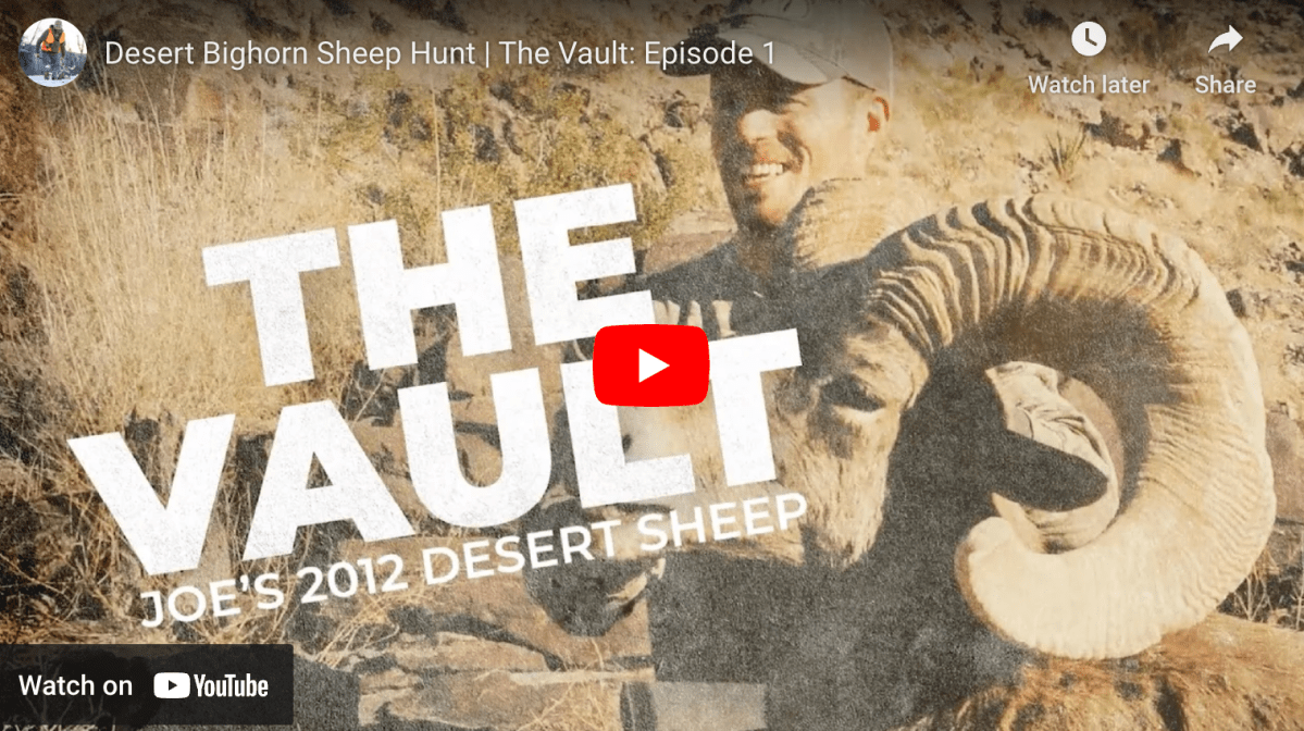 Video: Hunting Desert Bighorn Sheep Hunt – Rack Camp