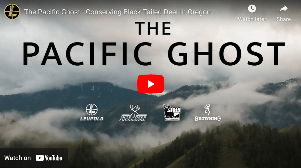 Film: The Pacific Ghost – Conserving Black-Tailed Deer in Oregon – Rack Camp