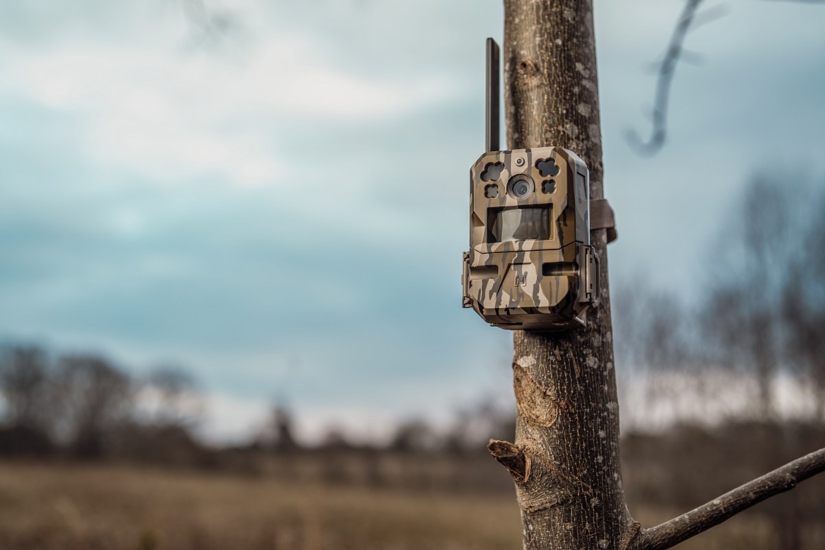 Moultrie Mobile Edge Pro Cellular Trail Camera Featuring AI Technology ...