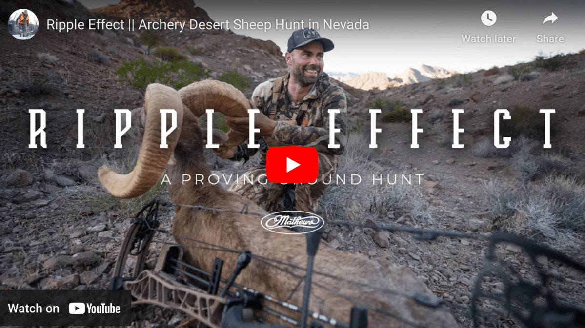 Video: An Archery Desert Sheep Hunt in Nevada – Rack Camp