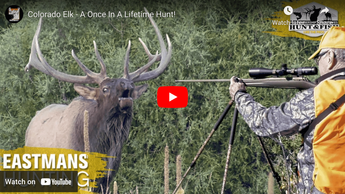 Video: A Colorado Elk Hunt – Rack Camp